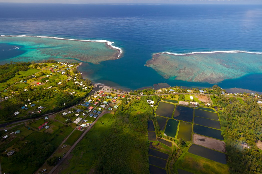 Activities on the Tahitian Peninsula | Teahupoo Tours and Surf Adventures